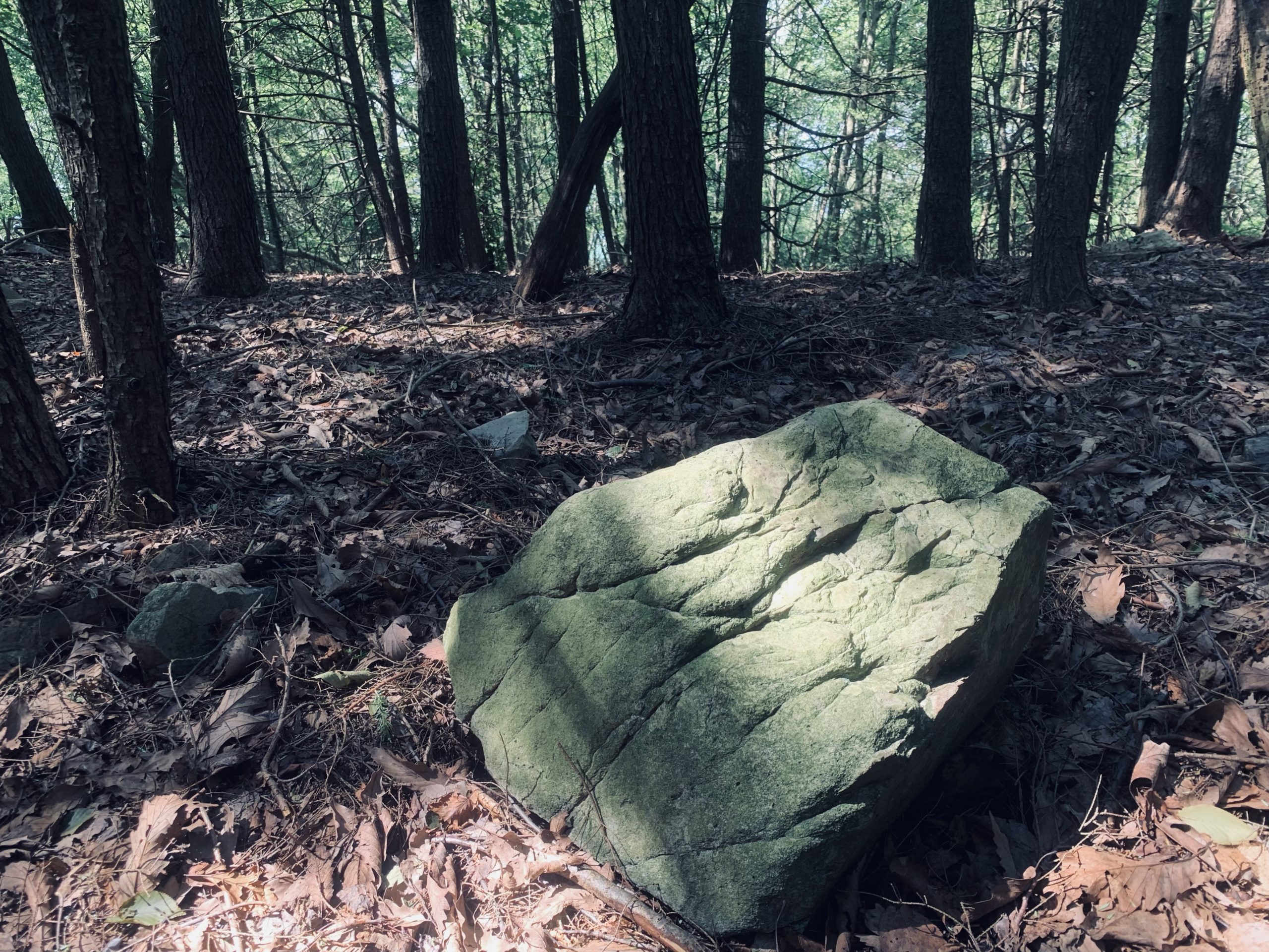 Doom Loop – Via Negativa