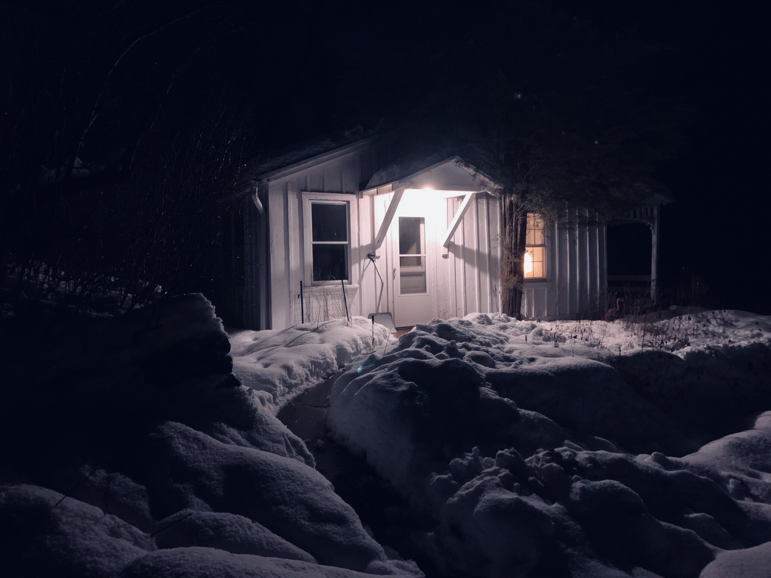 Chionophile – Via Negativa